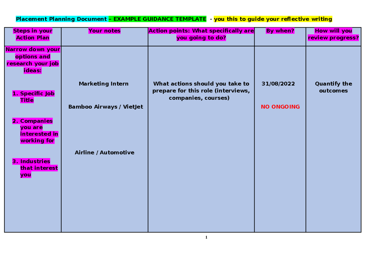 PPDGuidance Template 2024 - Placement Planning Document – EXAMPLE ...