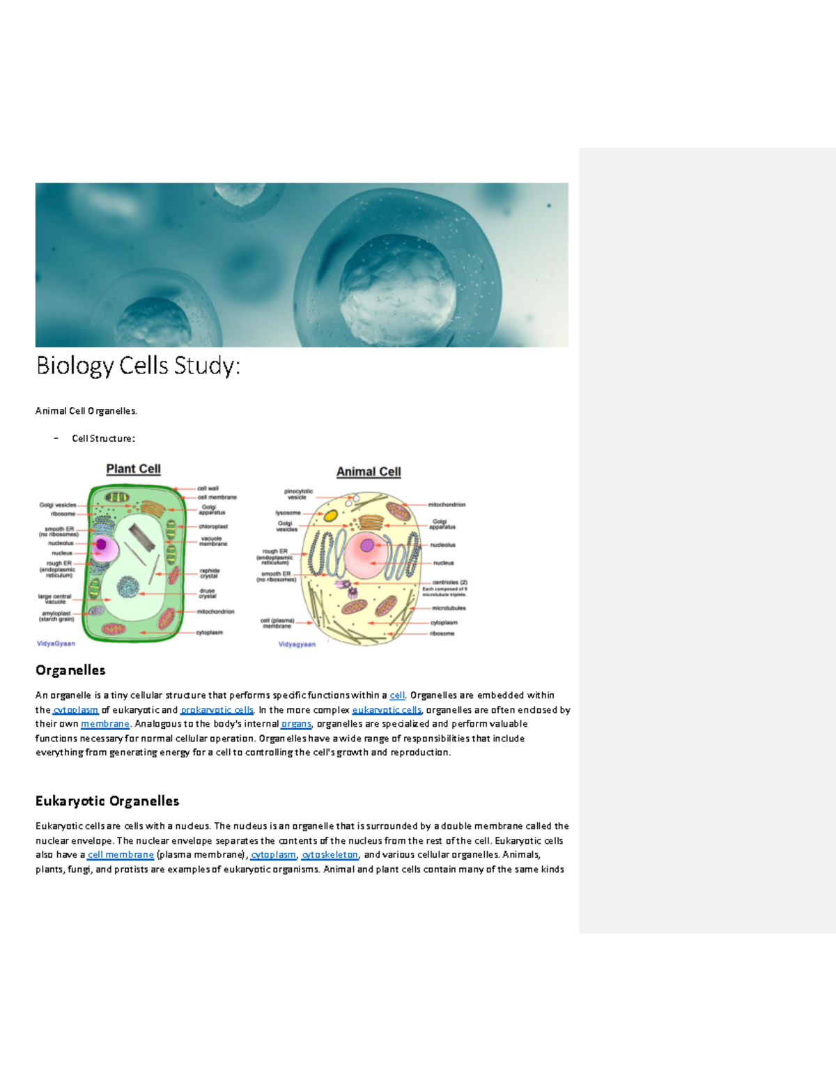 Biology Cells Study - Lecutre and module notes - Biology Cells Study ...