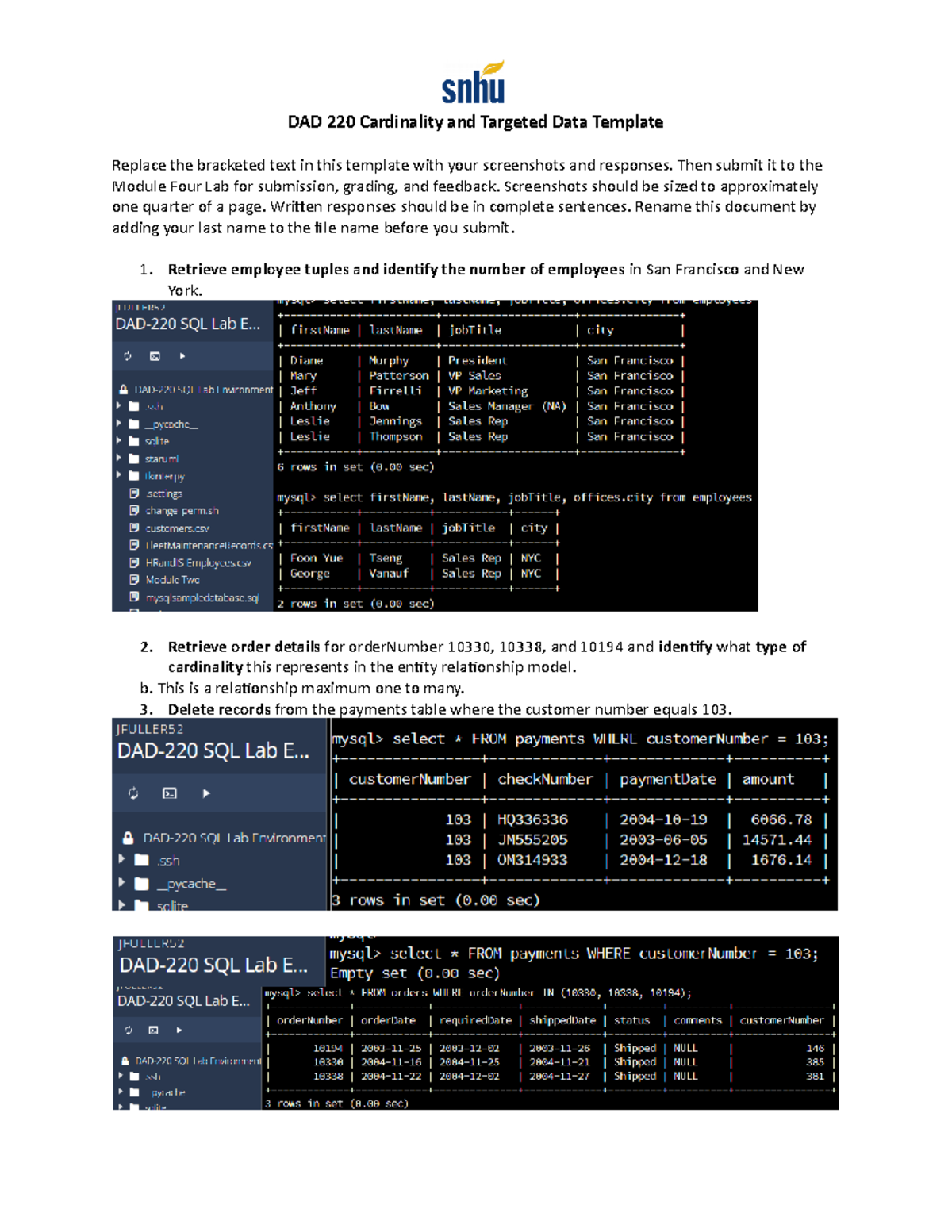 Fuller Module 4 Lab - DAD 220 Cardinality and Targeted Data Template ...