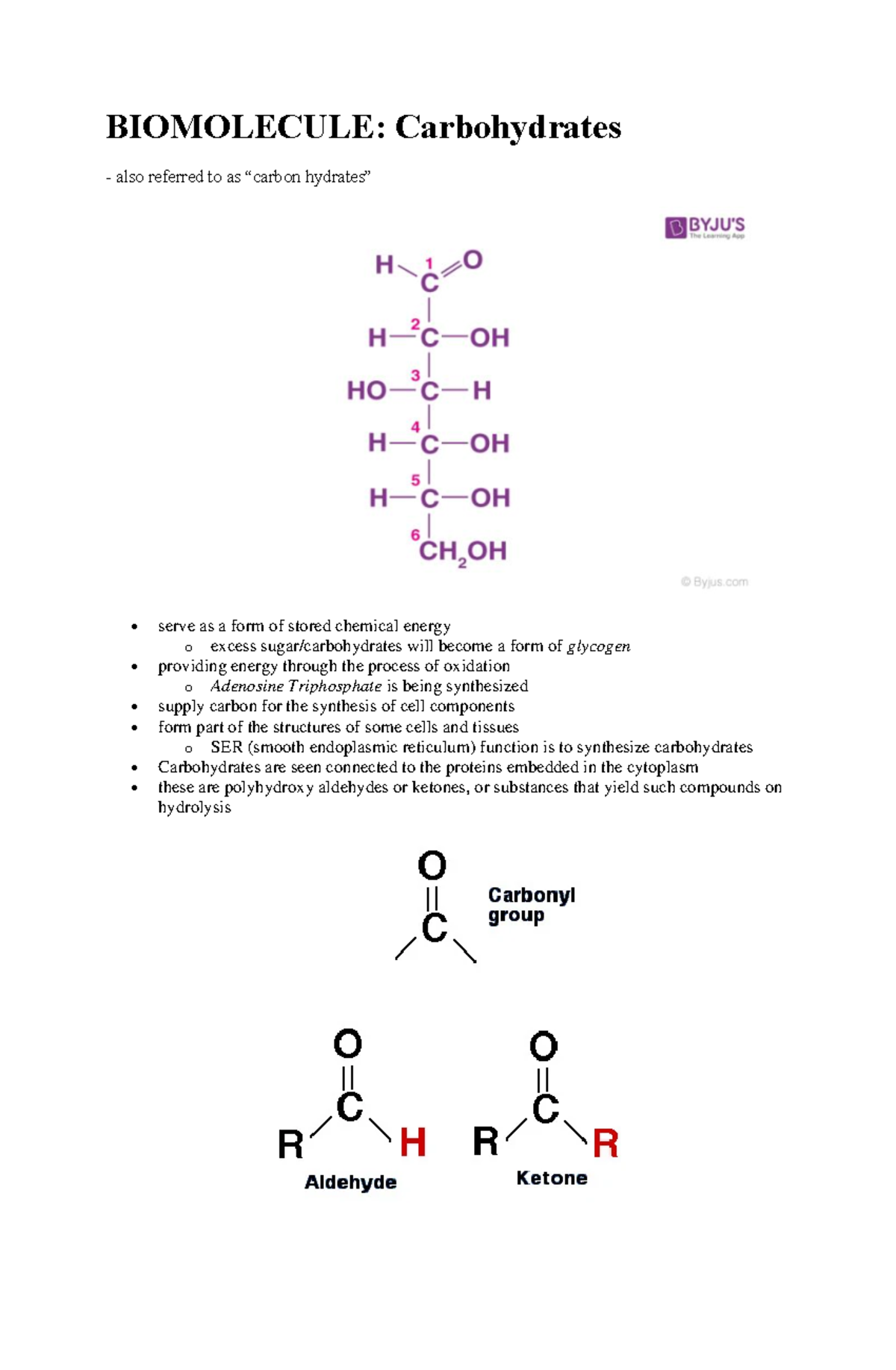 The Biomolecule Carbohydrates - BIOMOLECULE: Carbohydrates - also ...