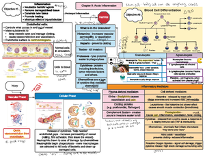 Patho Unit 2 Lectures Notes and Learning Objectives - PATHO – Module 2 ...