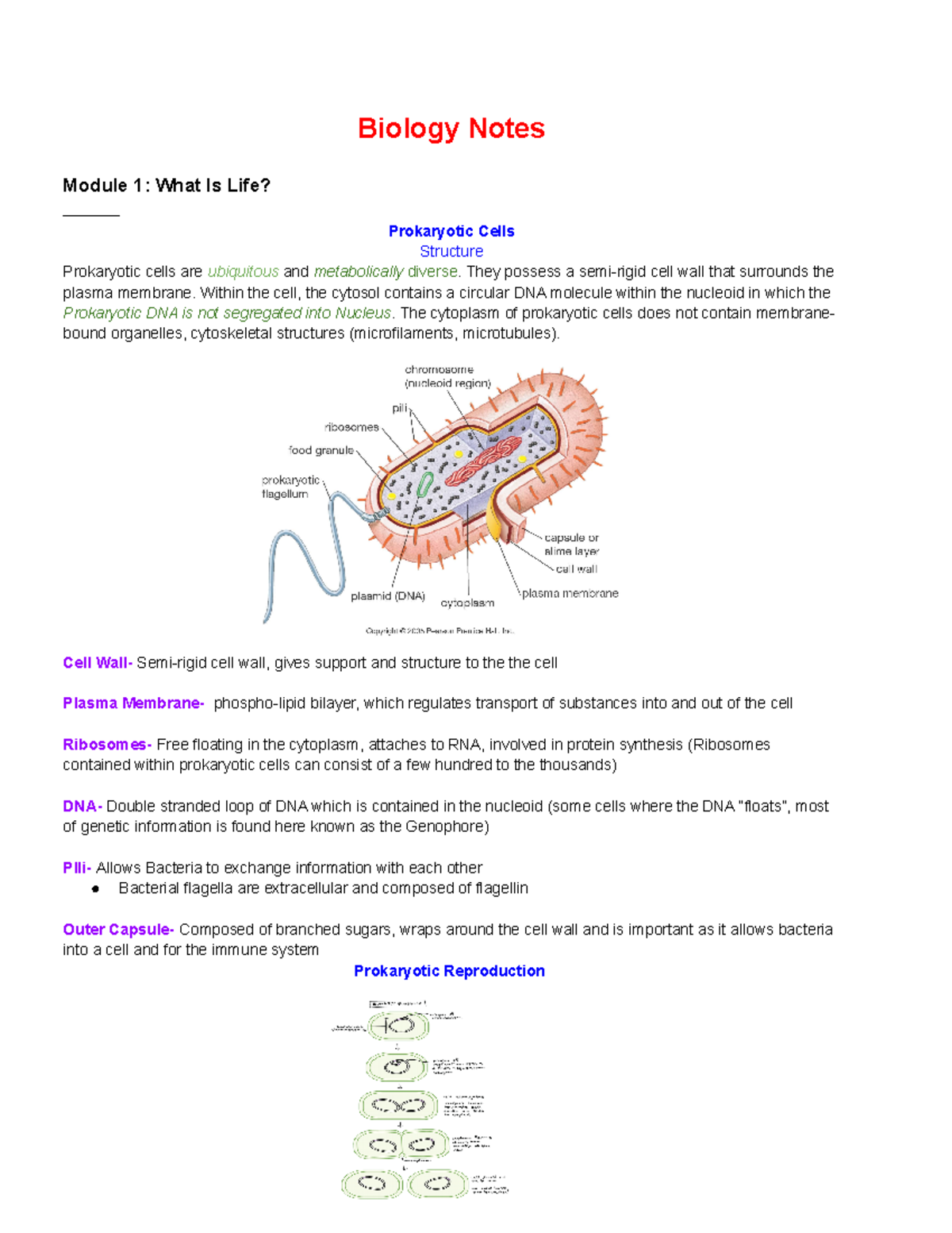 Biology Notes - Biology Notes Module 1: What Is Life? Prokaryotic Cells ...