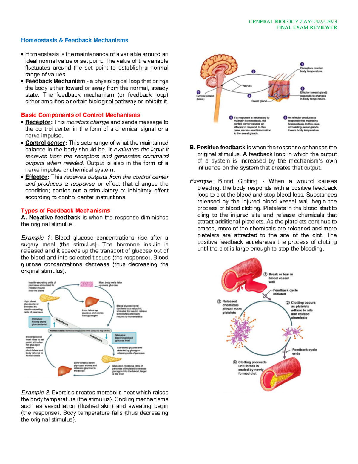 Organismal Biology Reviewer 1 - FINAL EXAM REVIEWER Homeostasis ...