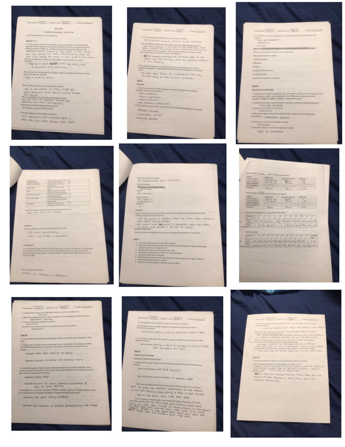 Lab 1- Scientific Investigation - BIO 125L - Studocu
