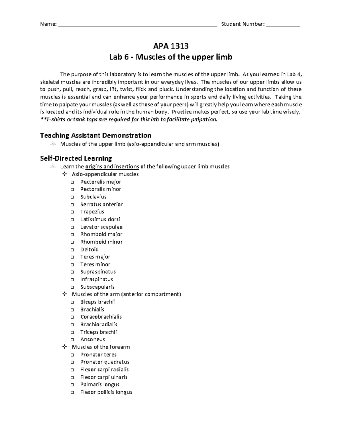 Lab 6 - Muscles of the upper limb - APA 1313 Lab 6 - Muscles of the ...