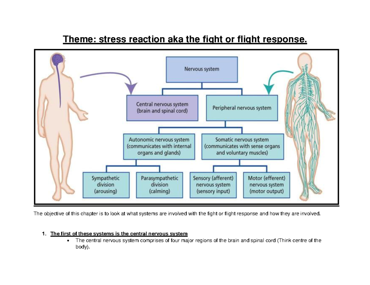 Chaper 3 summary - Theme: stress reaction aka the fight or flight ...