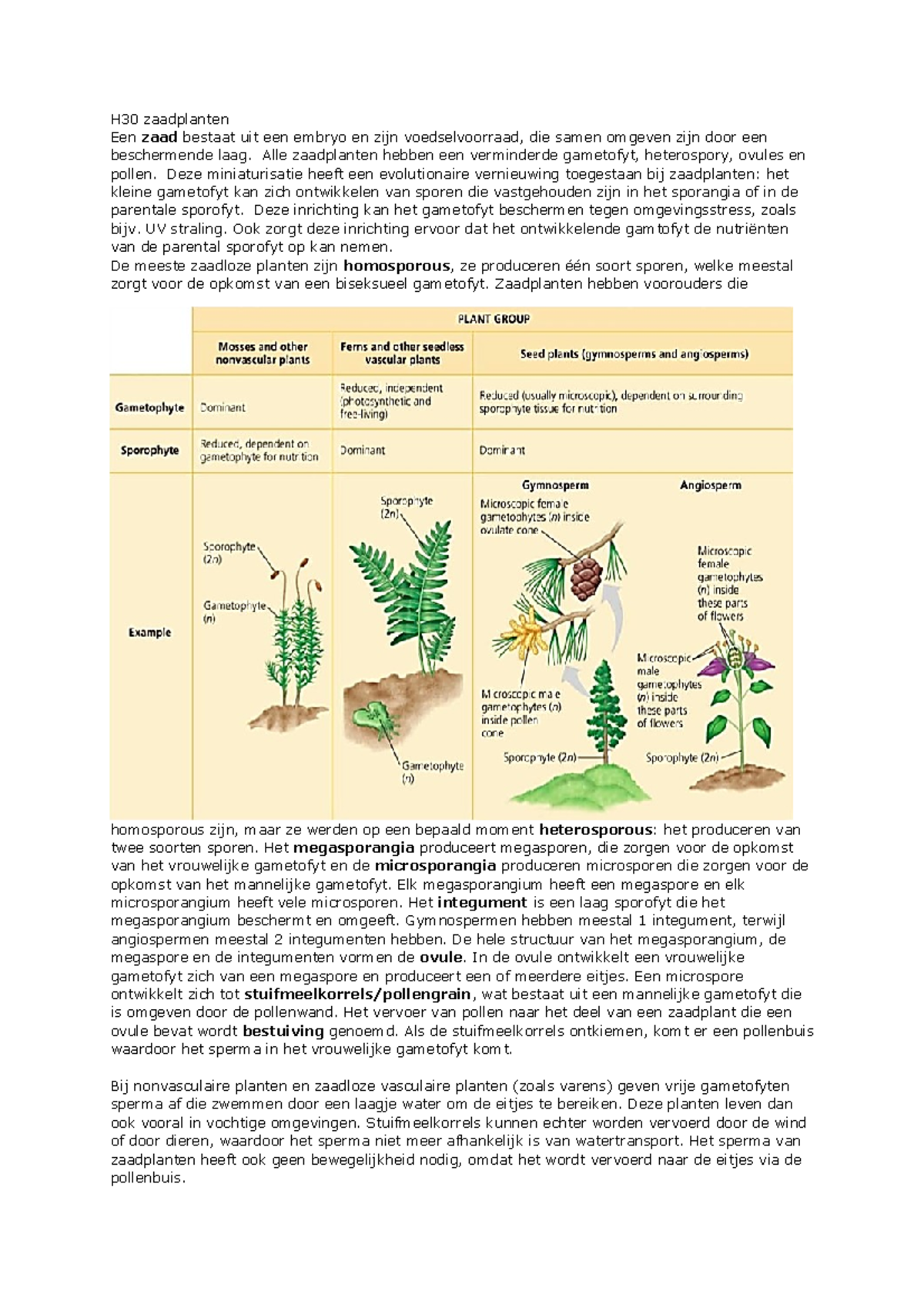 H30 zaadplanten - Samenvatting Campbell Biology - H30 zaadplanten Een ...
