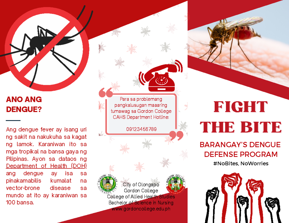 Infographic - abo - BARANGAY’S DENGUE DEFENSE PROGRAM #NoBites ...