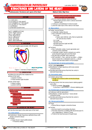 004 Cardiovascular Physiology Intrinsic Cardiac Conduction System - INTRINSIC CARDIAC CONDUCTION ...
