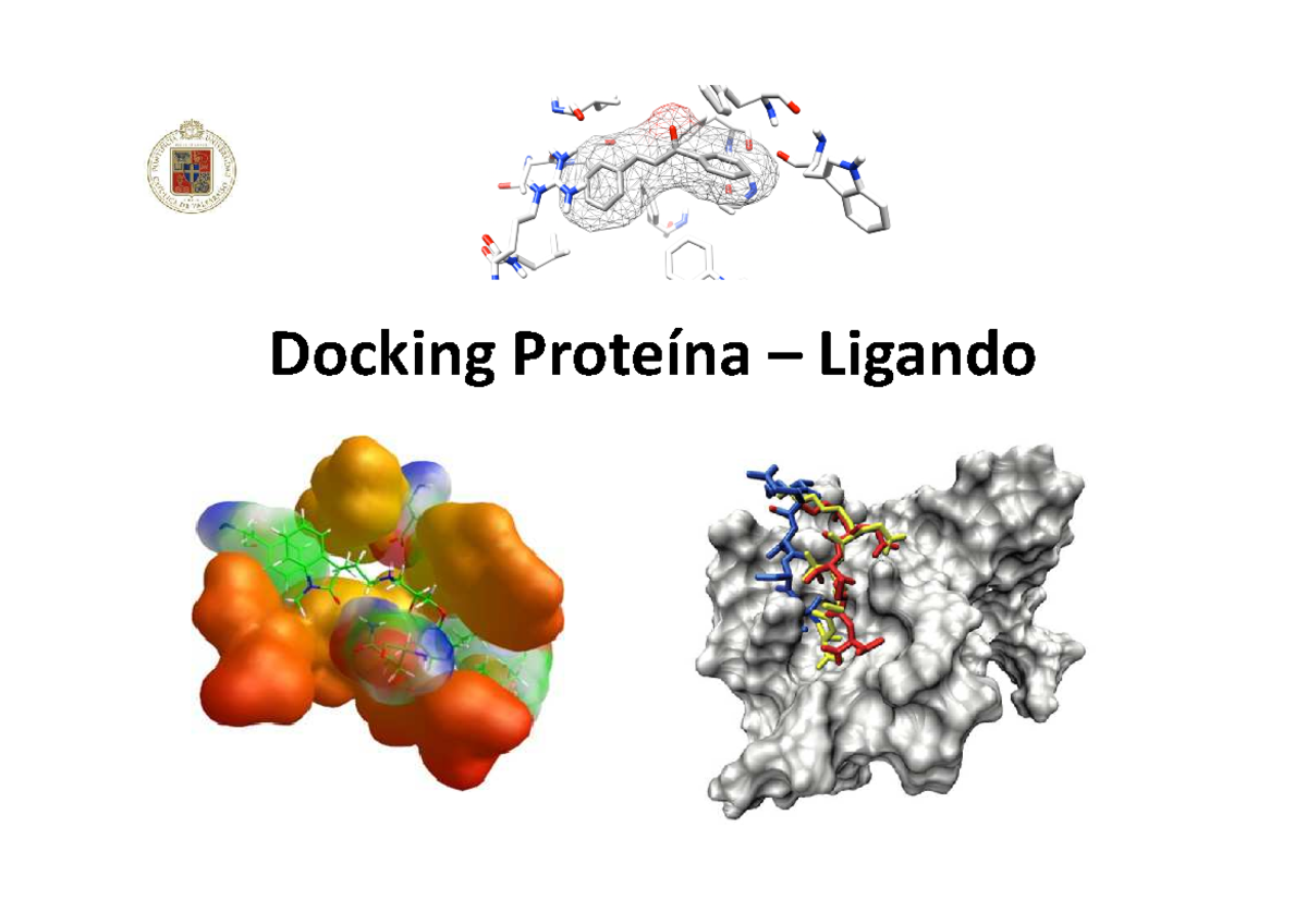 12. Docking proteina – ligando - Docking Proteína – Ligando ...