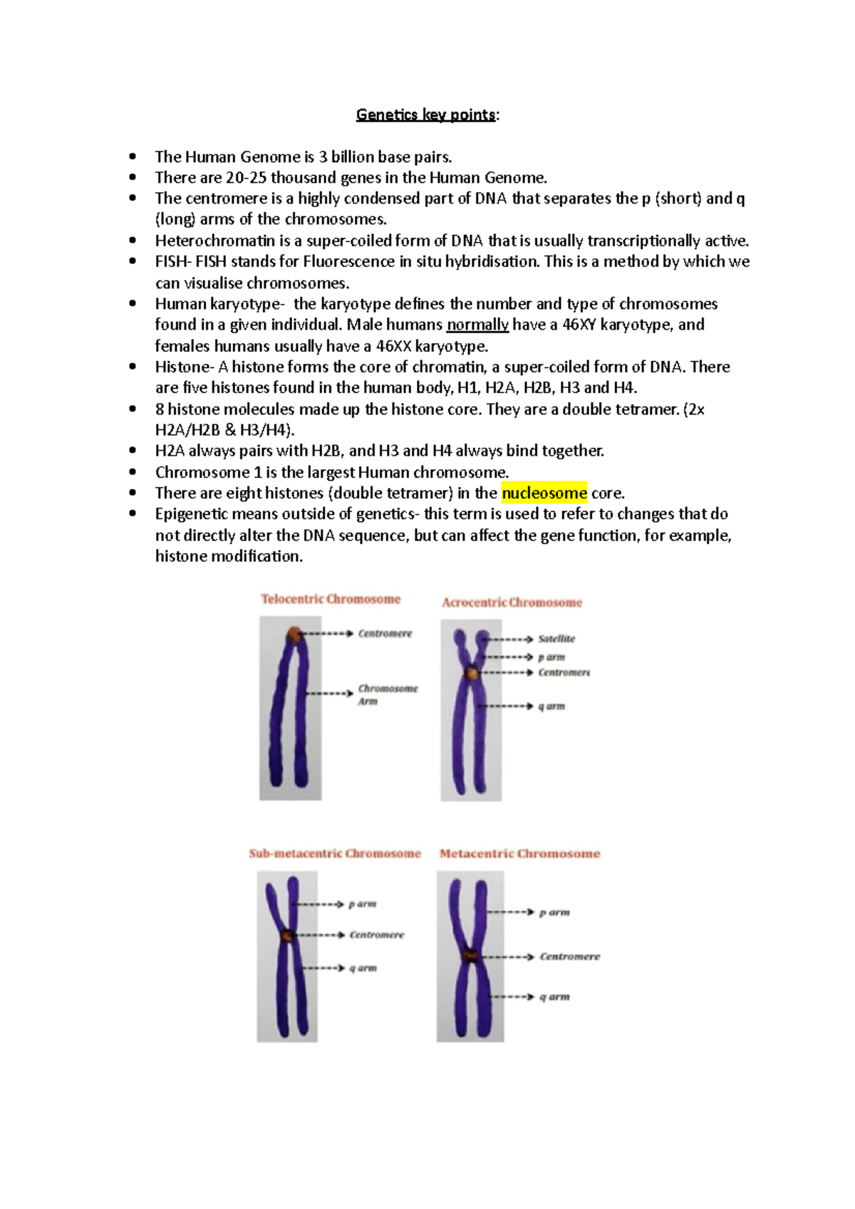 Genetics key points - Genetic key notes from lectures - Genetics key ...