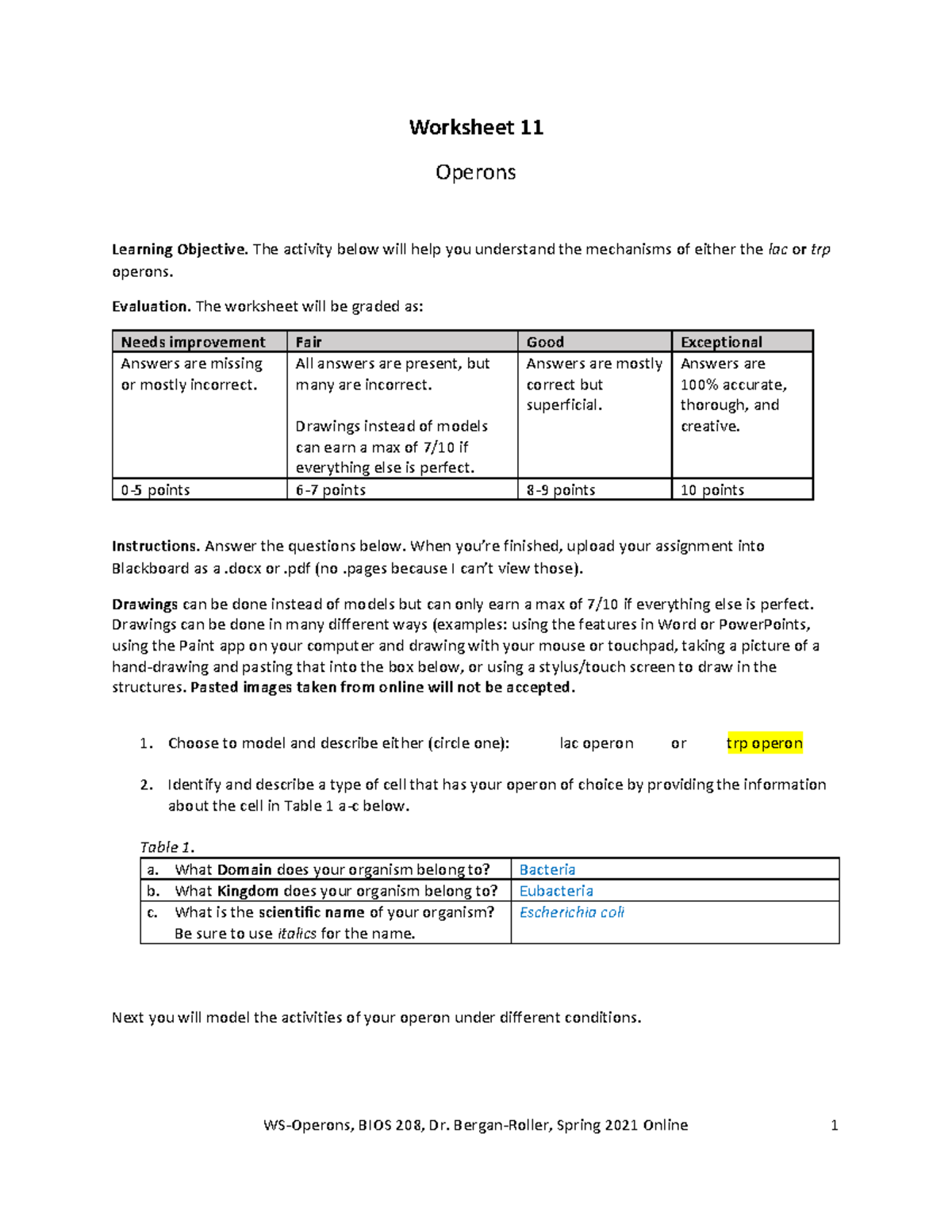 Worksheet 11 - Operons - Worksheet 11 Operons Learning Objective. The ...
