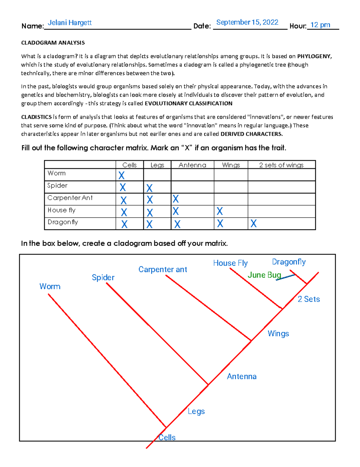 Kami Export - Cladogram worksheet - Name ...