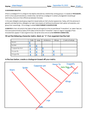 Astronomy Worksheet - Astronomy Worksheet The discovery of Cosmic ...