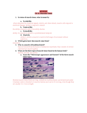 NERVOUS SYSTEM RESEARCH - BIO 150 May 15, 2021 NERVOUS AND MUSCULAR ...