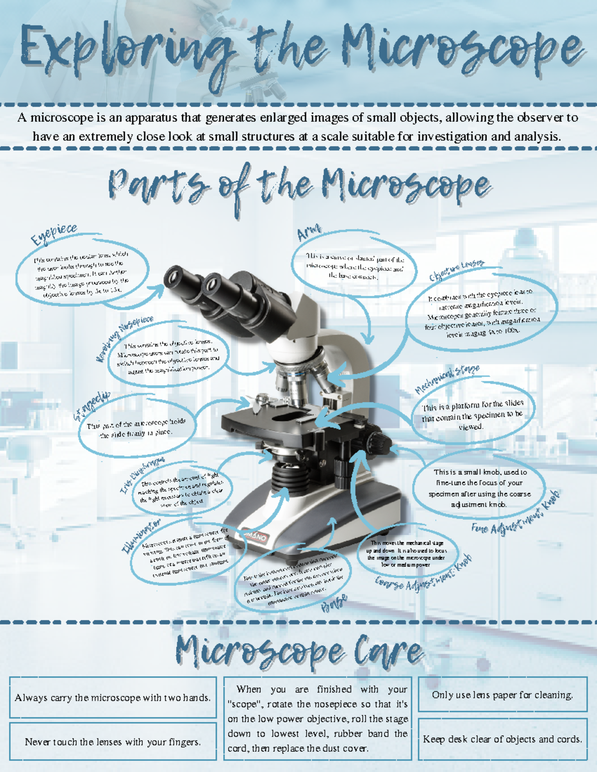PARA311 LAB Section 1 Marquez - Exploring the Microscope Exploring the ...