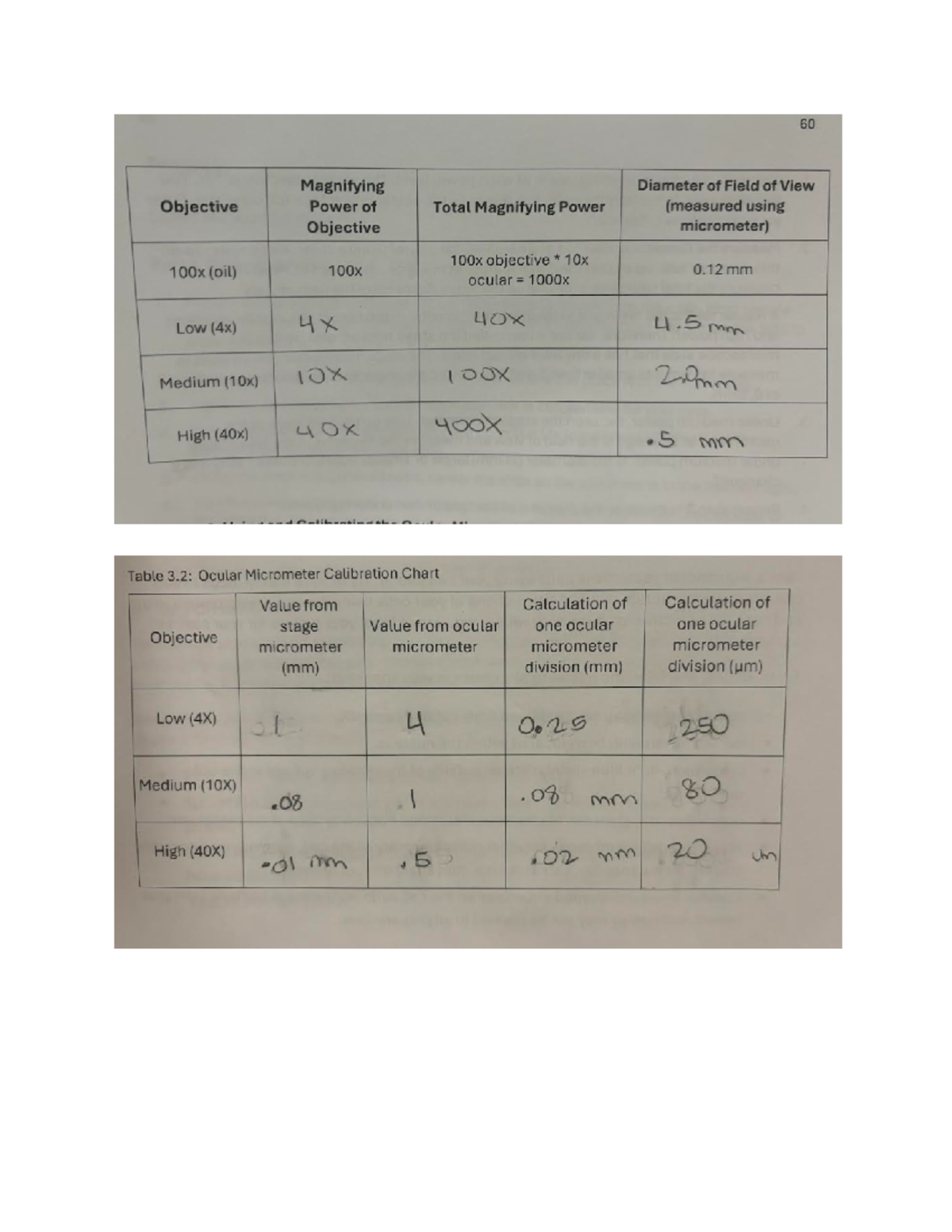 Lab 3 Cheek Epithelium - Light Microscopy and DNA extraction for PCR ...