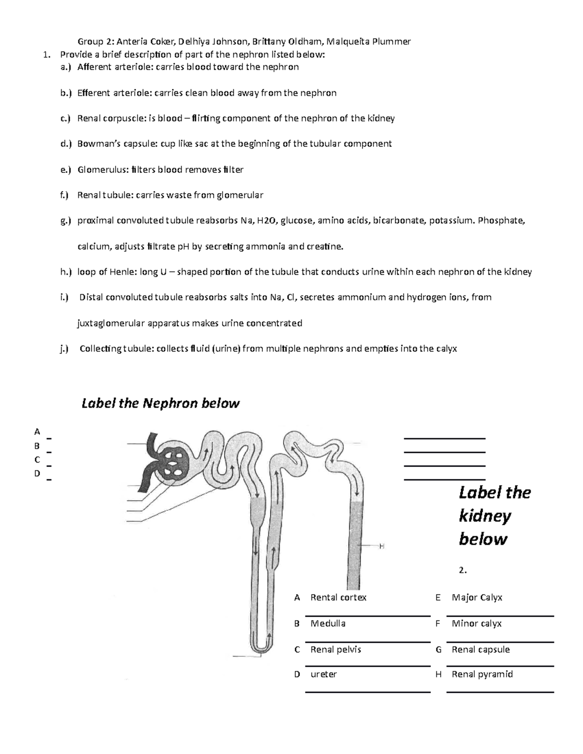 Print- lab activity la - S. Platt - Provide a brief description of part ...