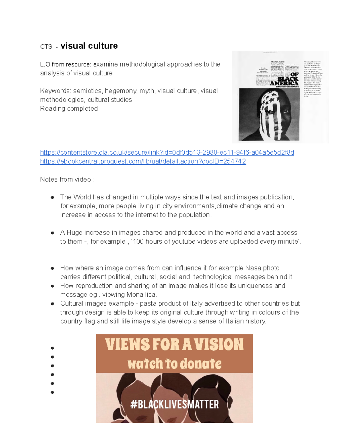 Context and theory - media images - CTS - visual culture L from ...