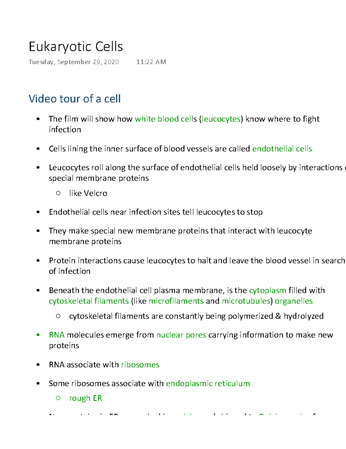 Eukaryotic Cells - notes - Video tour of a cell The film will show how ...