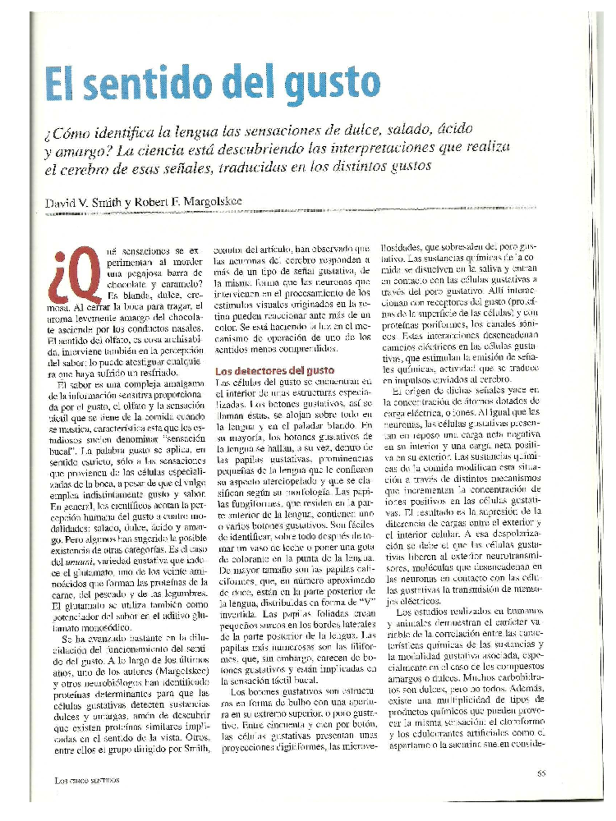 Gusto - apuntes - El sentido del gusto i Cómo identifica la lengua las ...