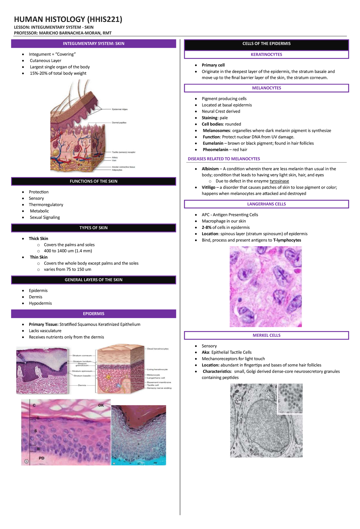 Integumentary System SKIN - HUMAN HISTOLOGY (HHIS221) LESSON ...