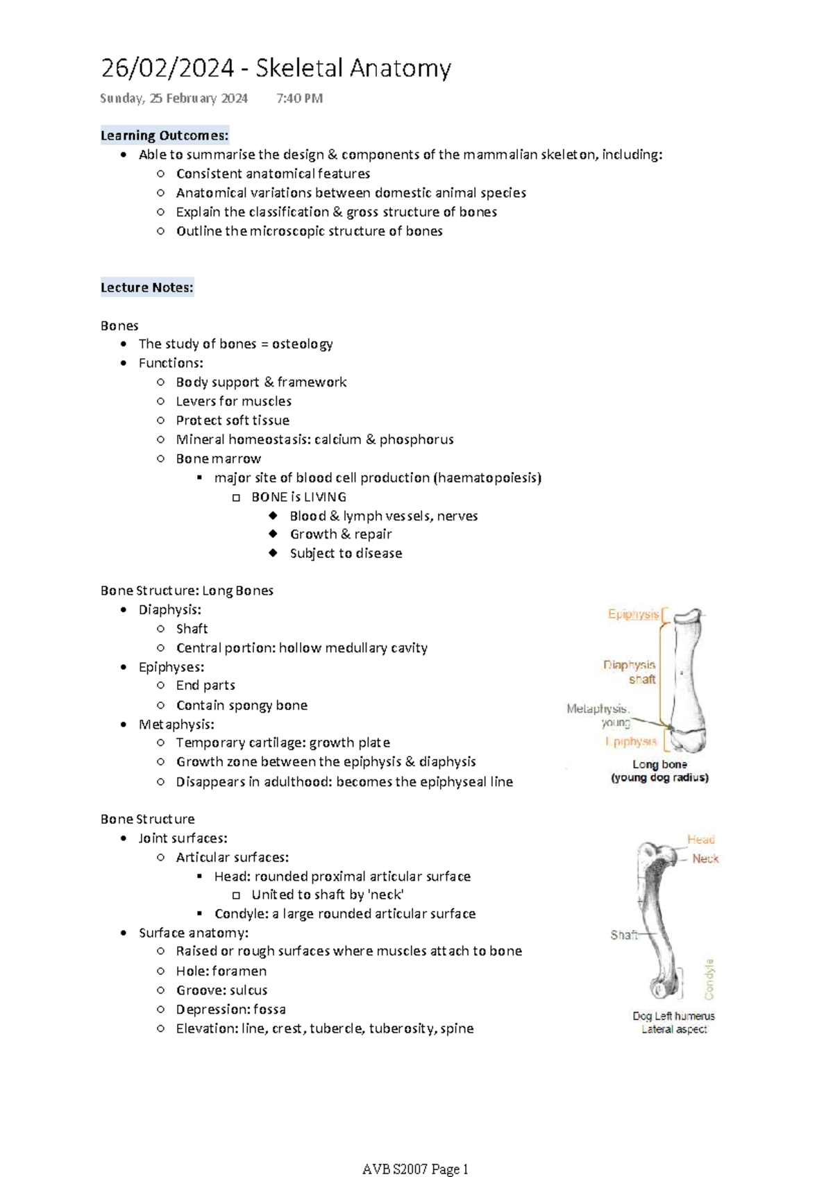 Skeletal Anatomy - Learning Outcomes: Able to summarise the design ...