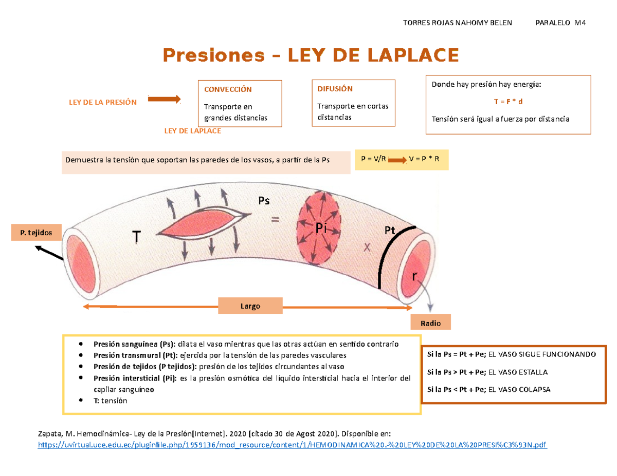 LEY DE Laplace biofisica - TORRES ROJAS NAHOMY BELEN PARALELO M Donde hay presión hay energía: T ...