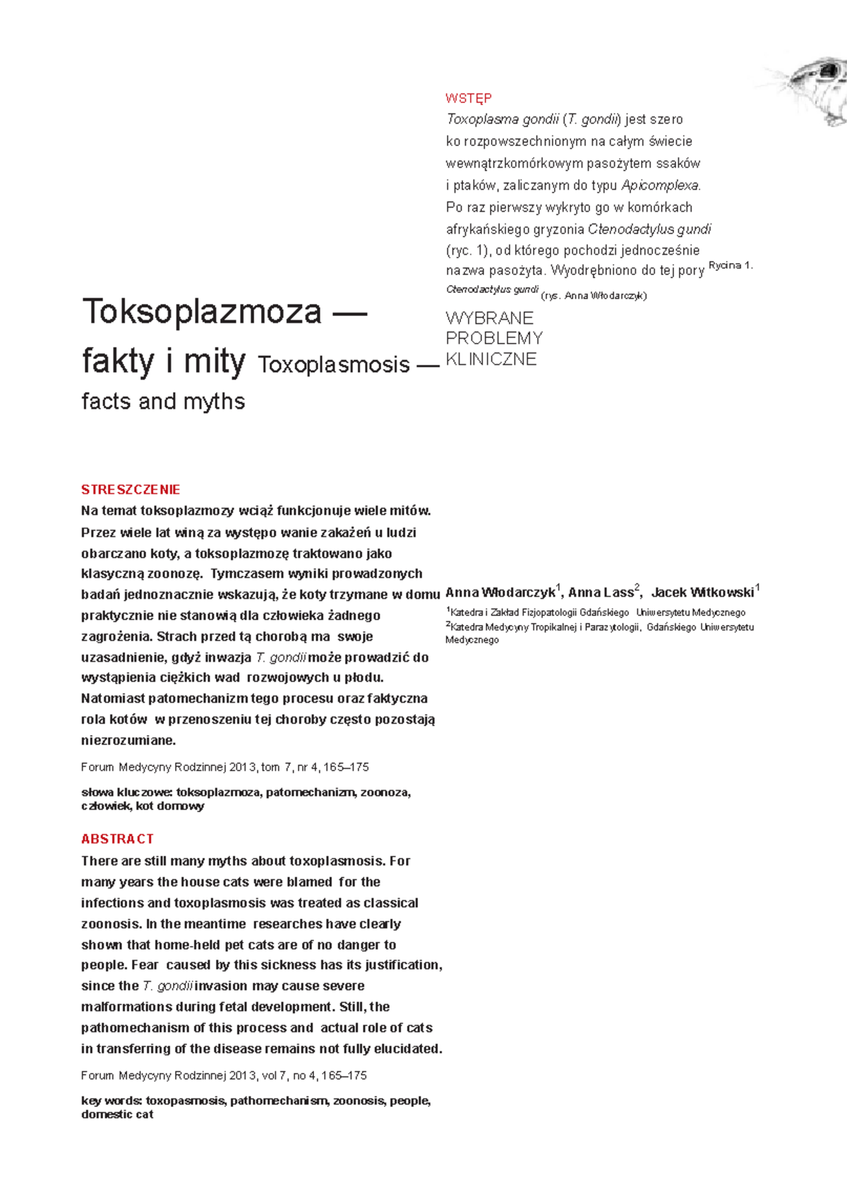 Toksoplazmoza - fakty i mity - Toksoplazmoza — fakty i mity ...