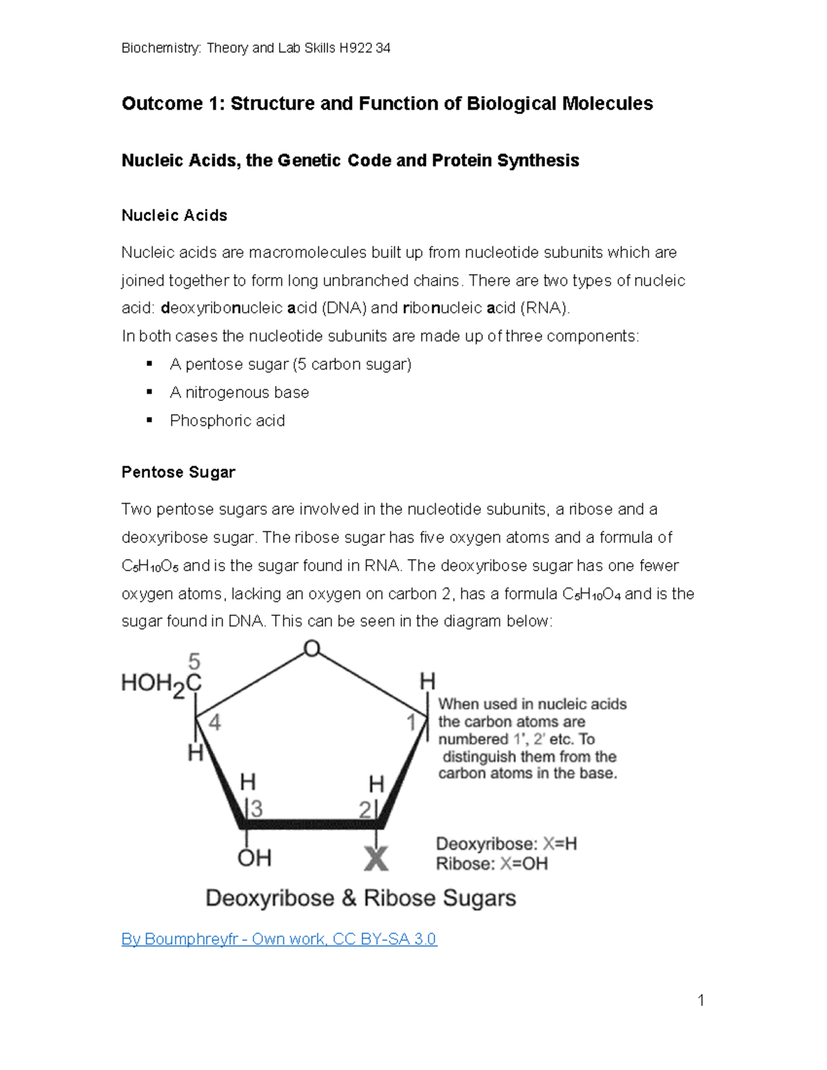 Biochem LO1 Accessible Notes - Outcome 1: Structure and Function of ...