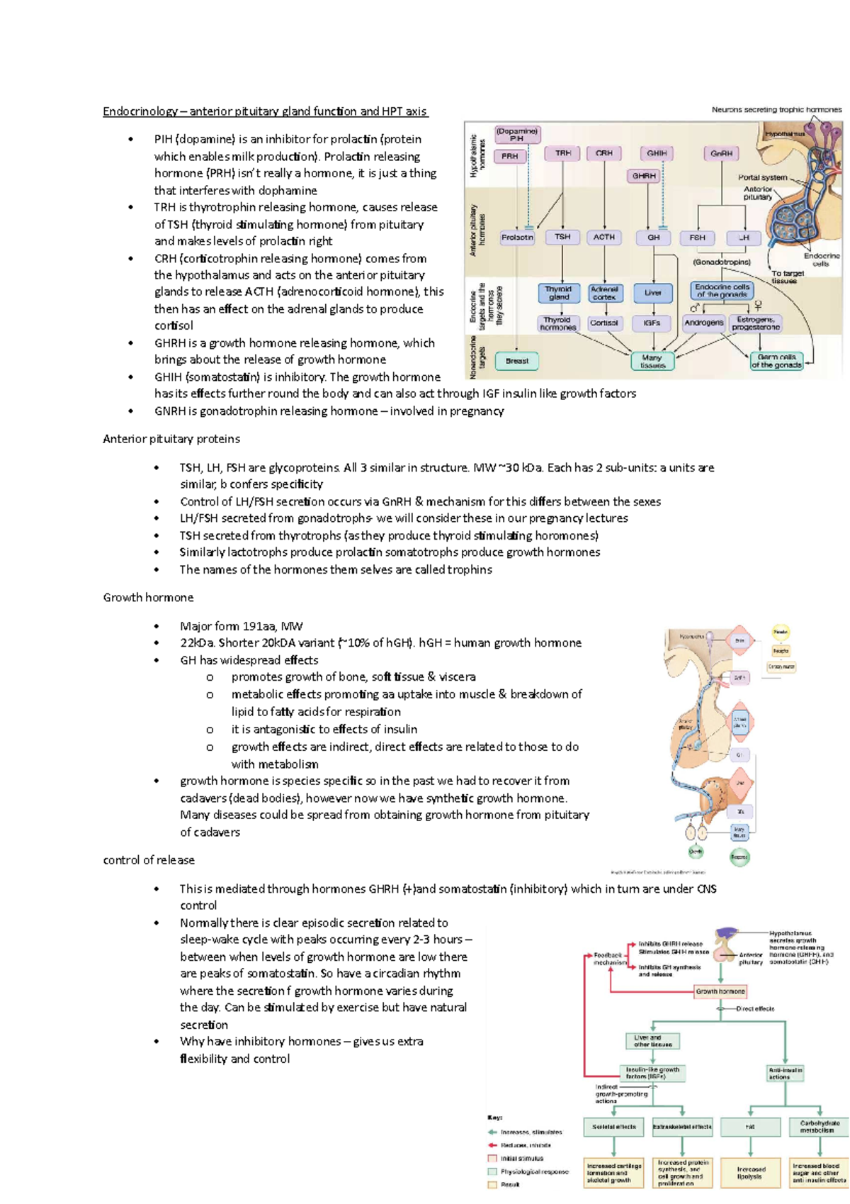 Lecture 6 - Endocrinology - Endocrinology – anterior pituitary gland ...