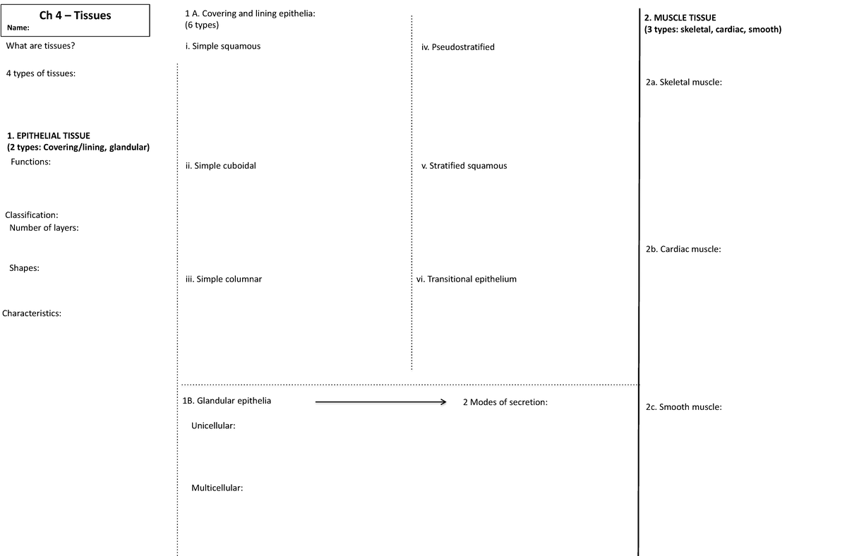 Mind map Chp 4 - Use the lecture notes and objective key terms uploaded ...