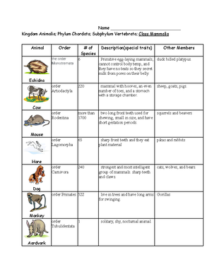 Zoology - Phylum Porifera - Sponge Questions - Answer Key - Early ...