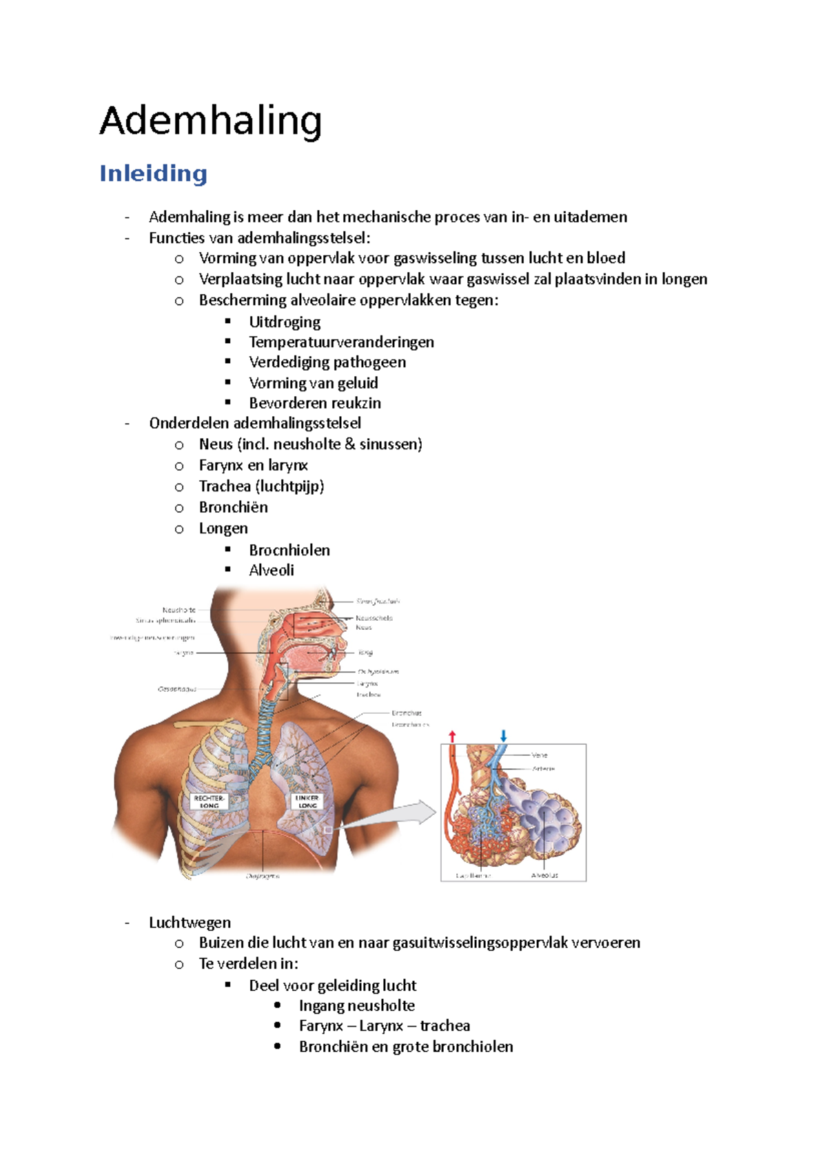 Anatomie: Ademhaling - Ademhaling Inleiding Ademhaling is meer dan het ...