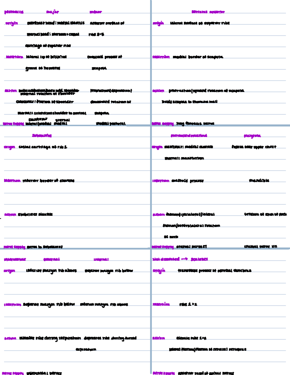 OIAN Lab 2 Muscles - pectoralis major minor serratus anterior origin ...
