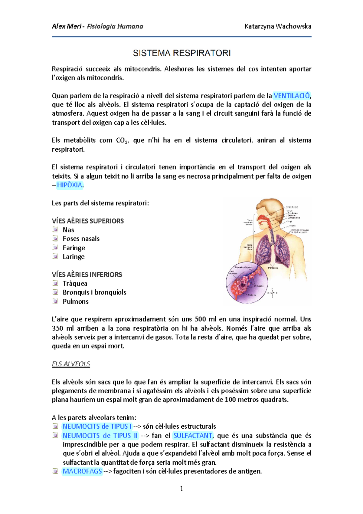 sistema respiratori 1 - Katarzyna Wachowska Alex Meri - Fisiologia ...
