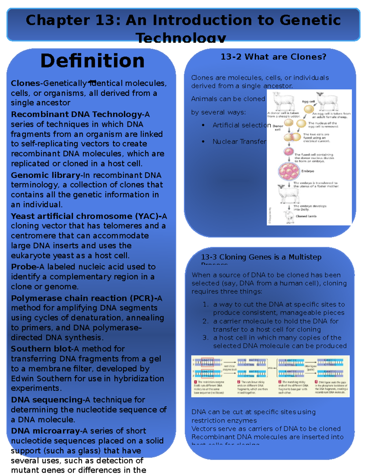 Assignment 13 Ch 13 Notes - 13-2 What are Clones? Chapter 13: An ...