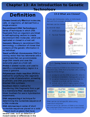 EEG Lab Report Form - Fill out worksheet - EEG LAB REPORT Your Name ...