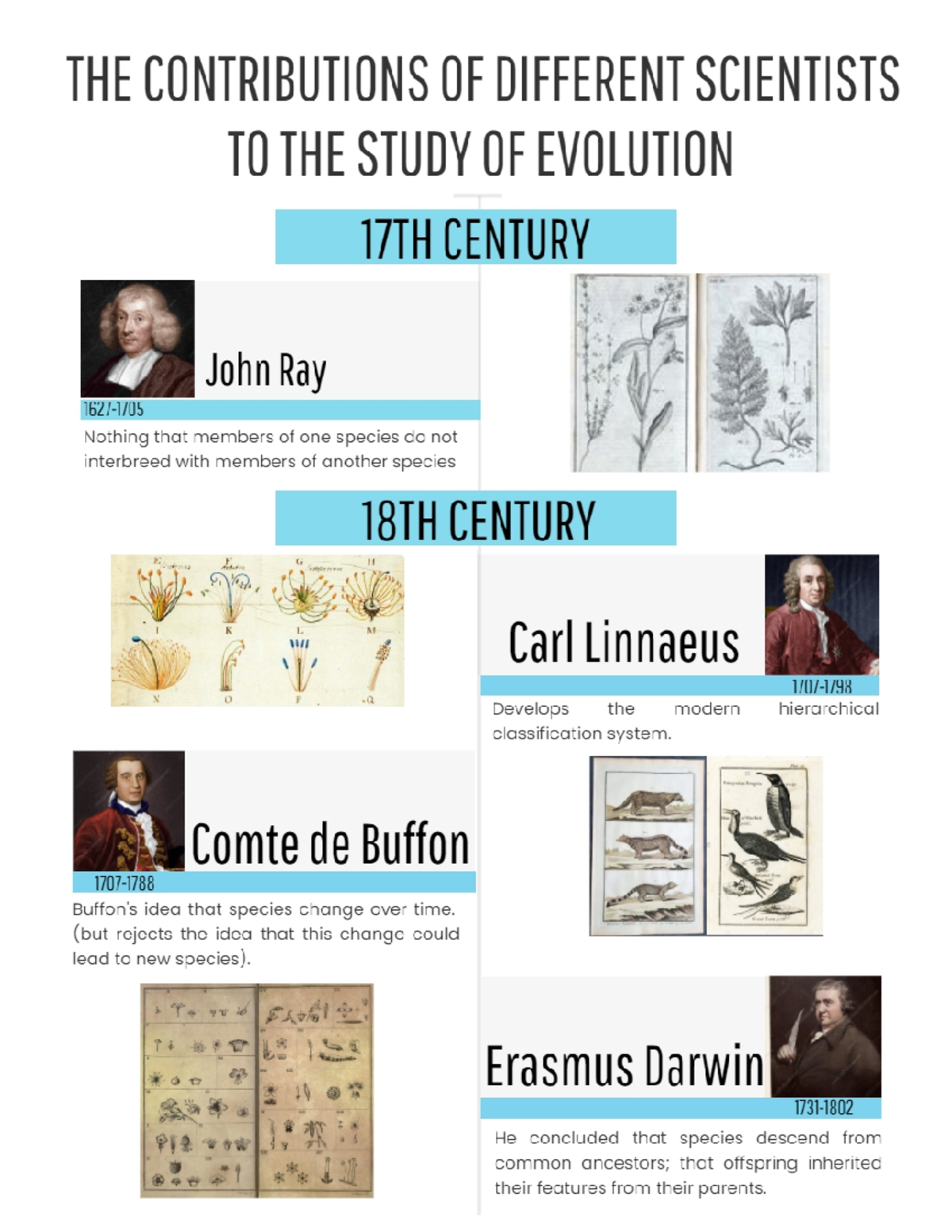 Contributions of different scientist to the study of evolution ...