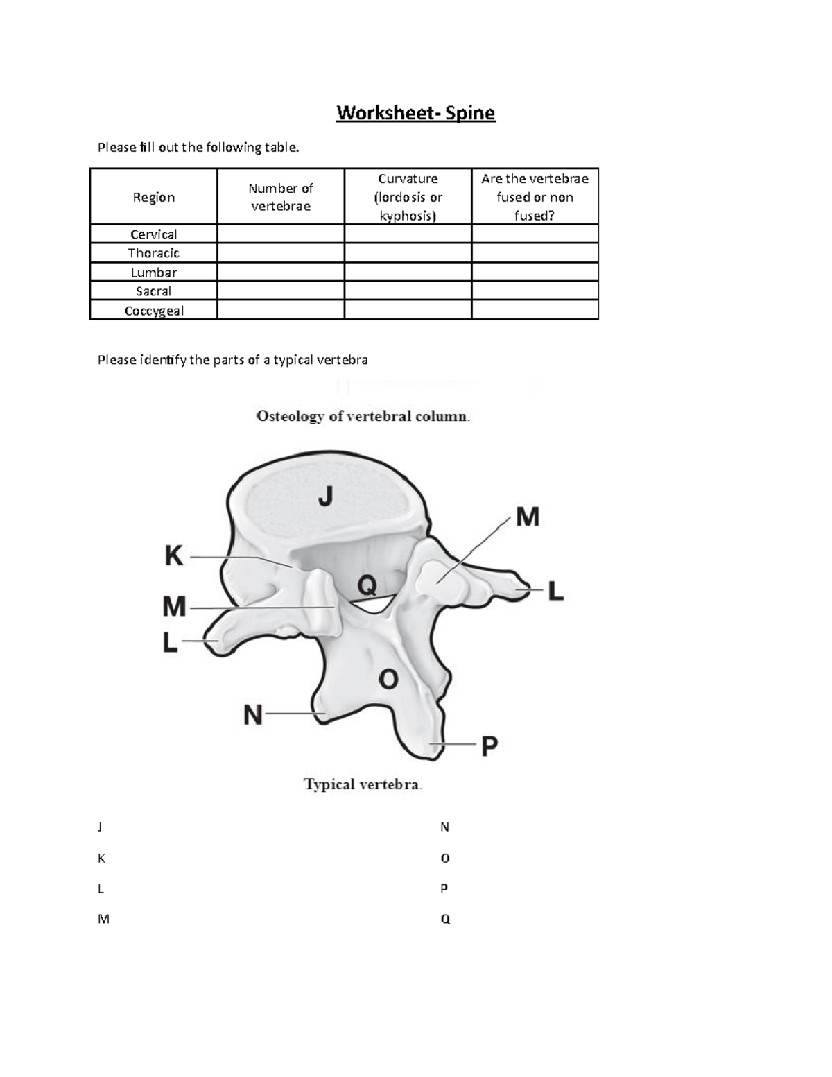 Worksheet - Spine - Worksheet- Spine Please fill out the following ...