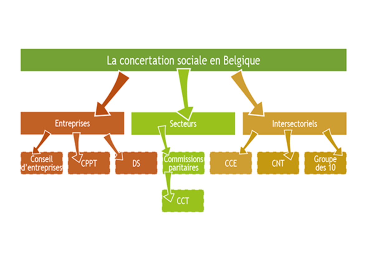 Concertation sociale belgique - NIVEAU INTERPERSONNEL – INTERSECTORIEL ...