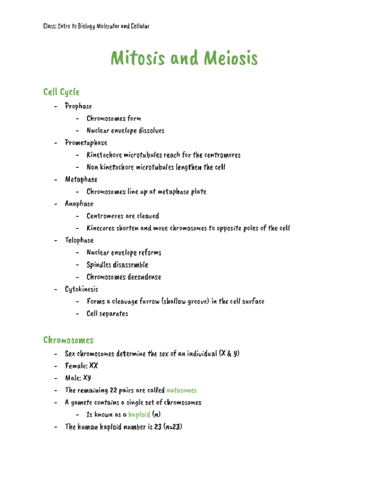 Mitosis and Meiosis - Google Docs - Class: Intro to Biology Molecular and Cellular Mitosis and ...