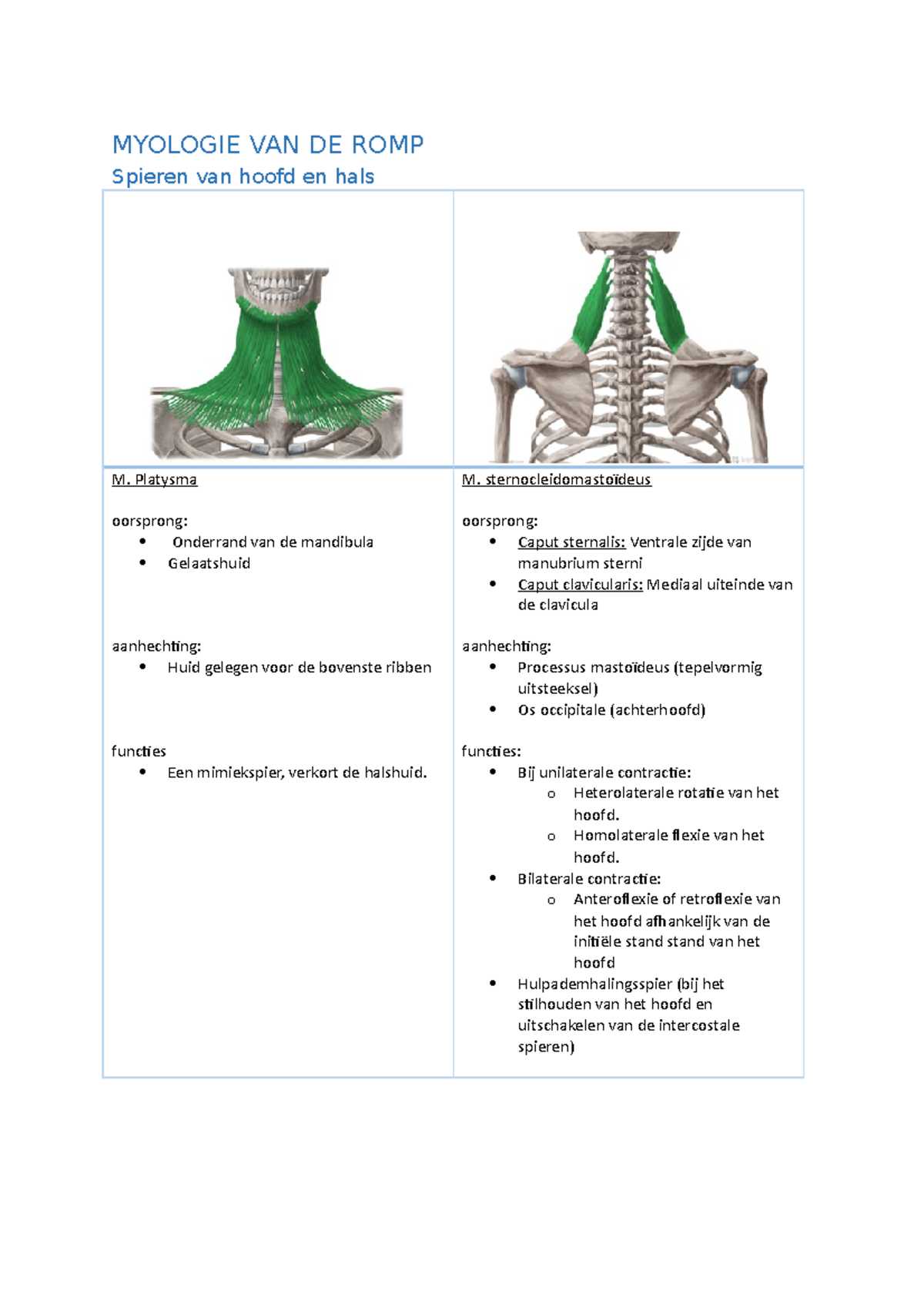 Spieren - Platysma M. oorsprong: Onderrand van de mandibula Gelaatshuid ...