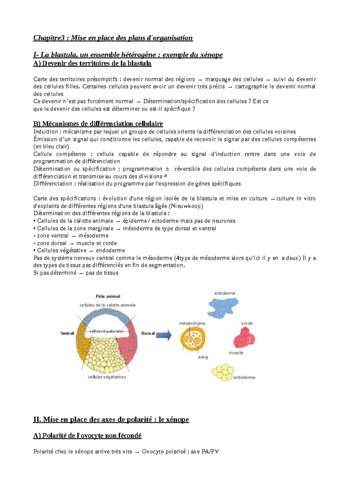 Chapitre 3 : la mise en place des plans d'organisation - Certaines ...