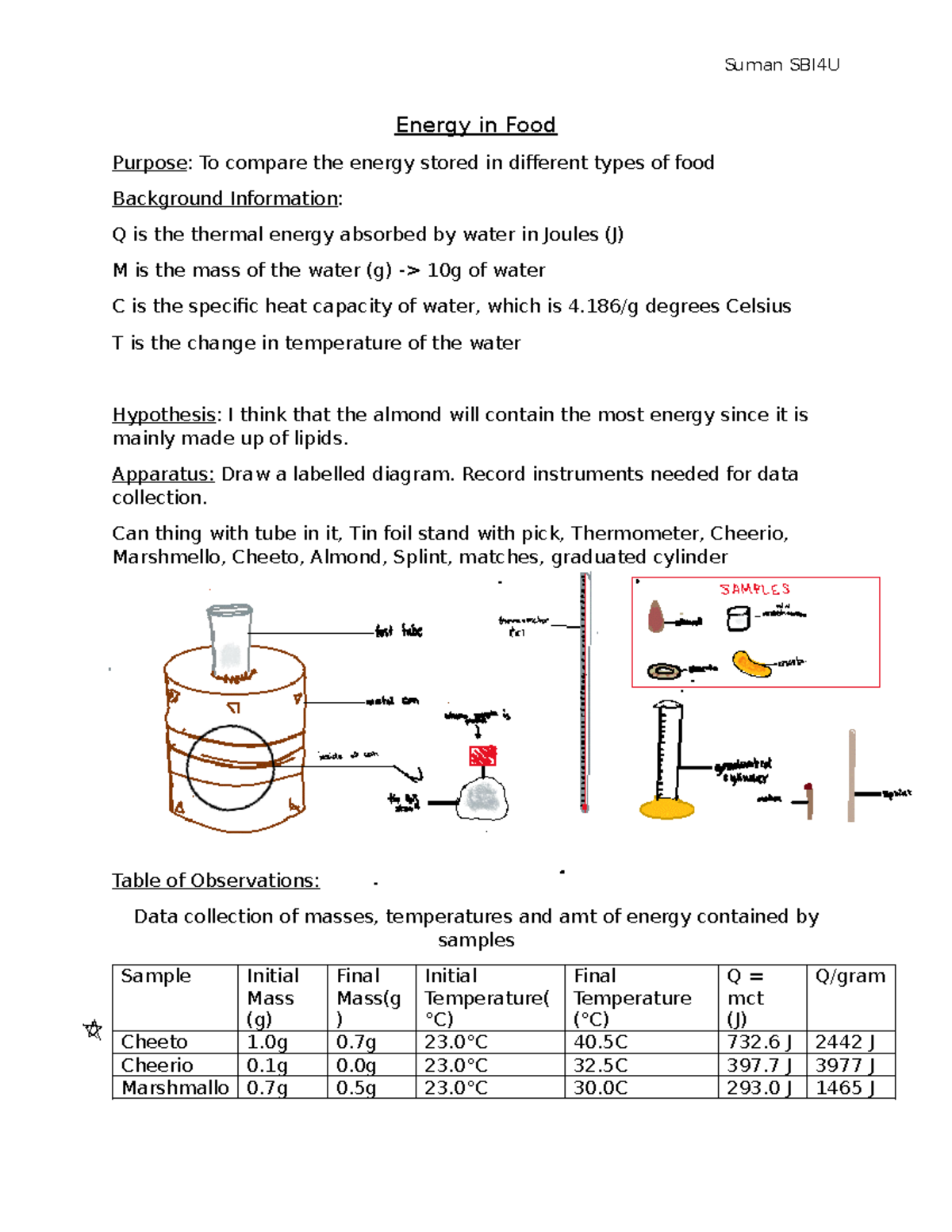Energy in Food Lab (Suman SBI4U) - Energy in Food Purpose: To compare ...
