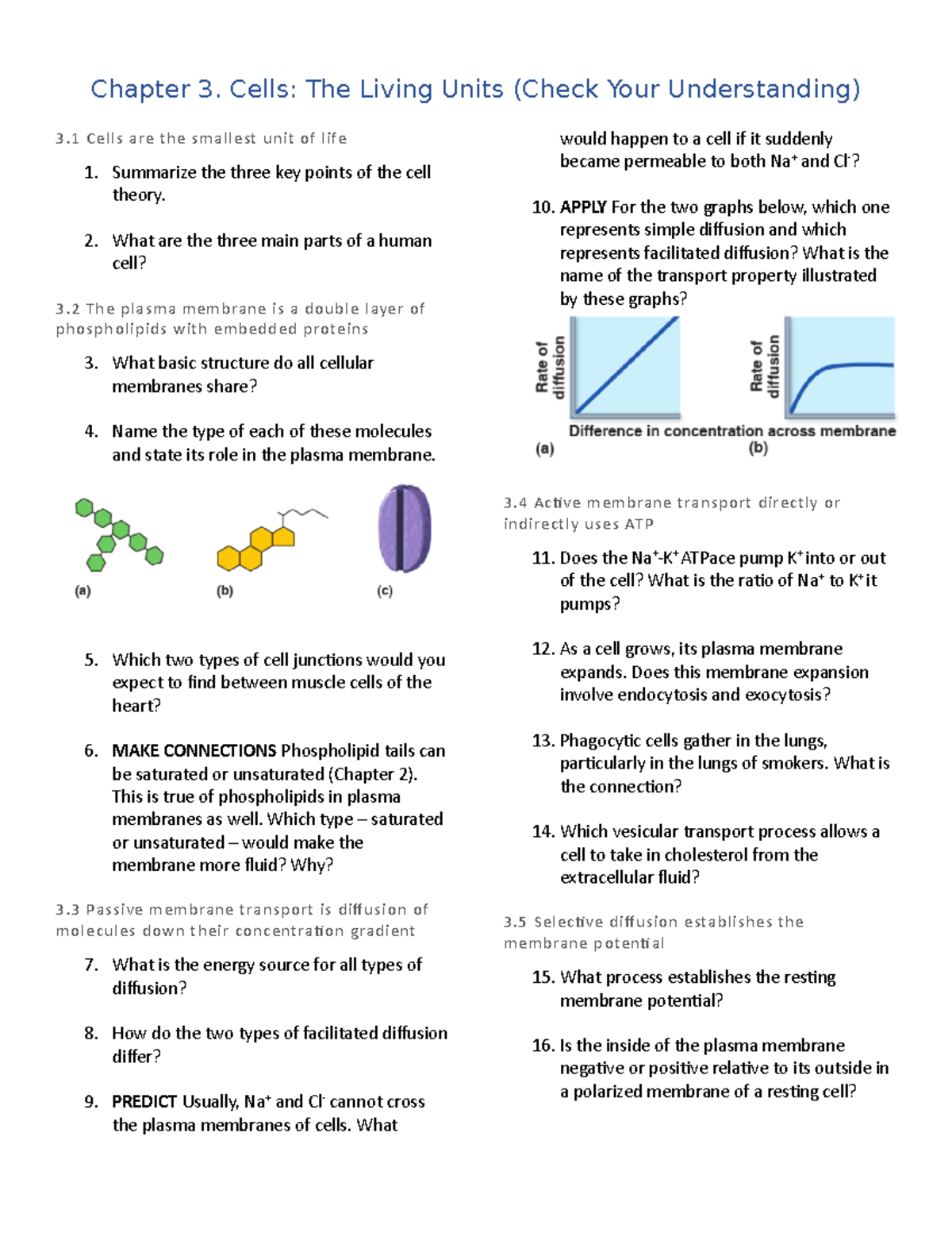 Chapter 3. (Check Your Understanding Questions) - Chapter 3. Cells: The ...
