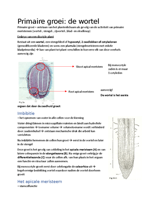 Blad - BIR - HET BLAD 1. Algemeen Laterale uitgroei van de stengel met ...