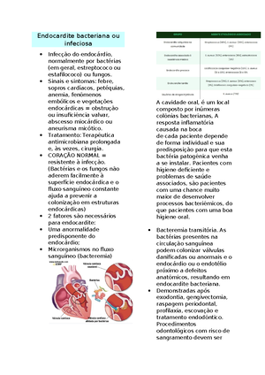 Farmacologia DOS Anestesicos Locais E Vasoconstritores - FARMACOLOGIA ...