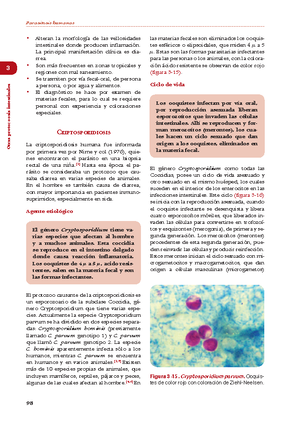 Ciclo de vida Dirofilaria immitis - Desde la inoculación de la larva L3 ...