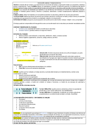 La escuela como organización inteligente - La escuela como organización ...